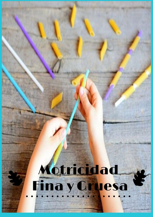 Motricidad Fina y Gruesa by - Flipsnack