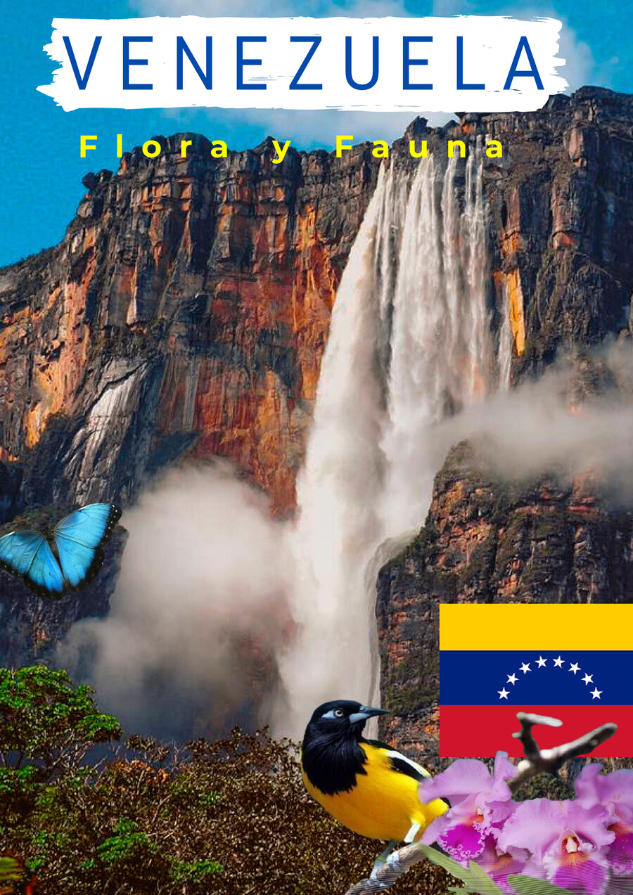 Catalogo de la flora y fauna de Venezuela by Jose Carlos Jorge - Flipsnack