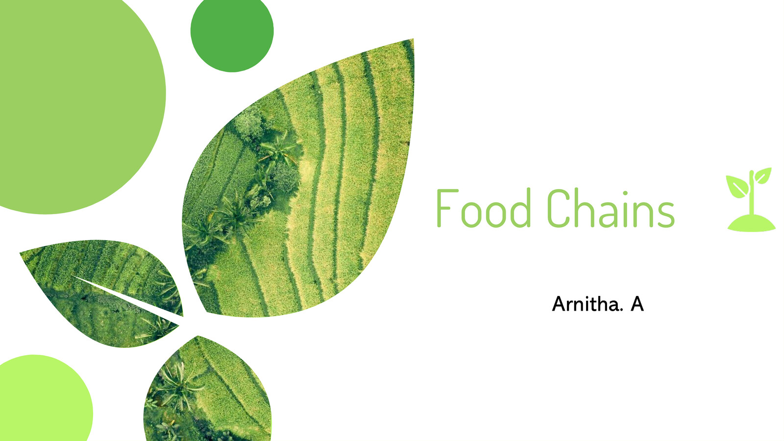 Solanio · SlidesCarnival by Arnitha TIPS - Flipsnack