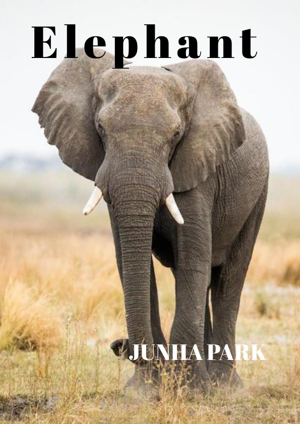 Elephant magazine by Junha - Flipsnack