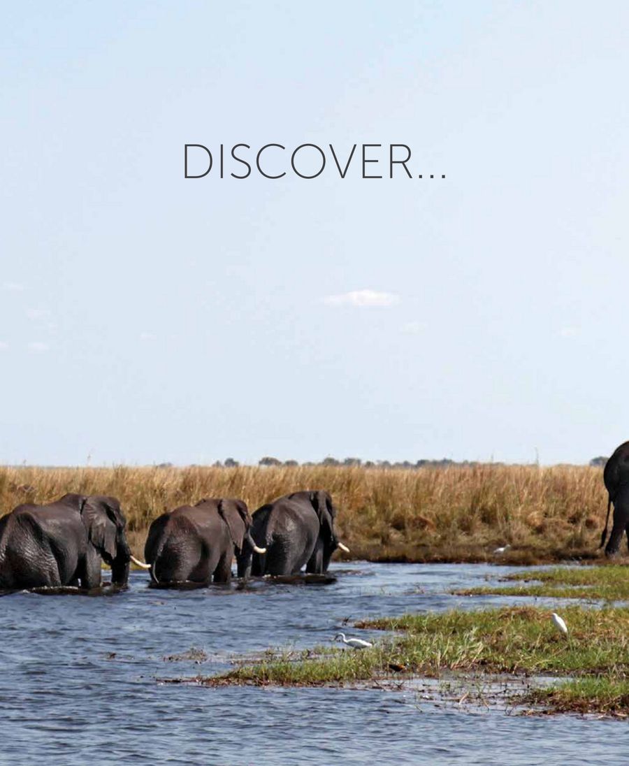 andBeyond Discover Botswana Brochure by andbeyond - Flipsnack