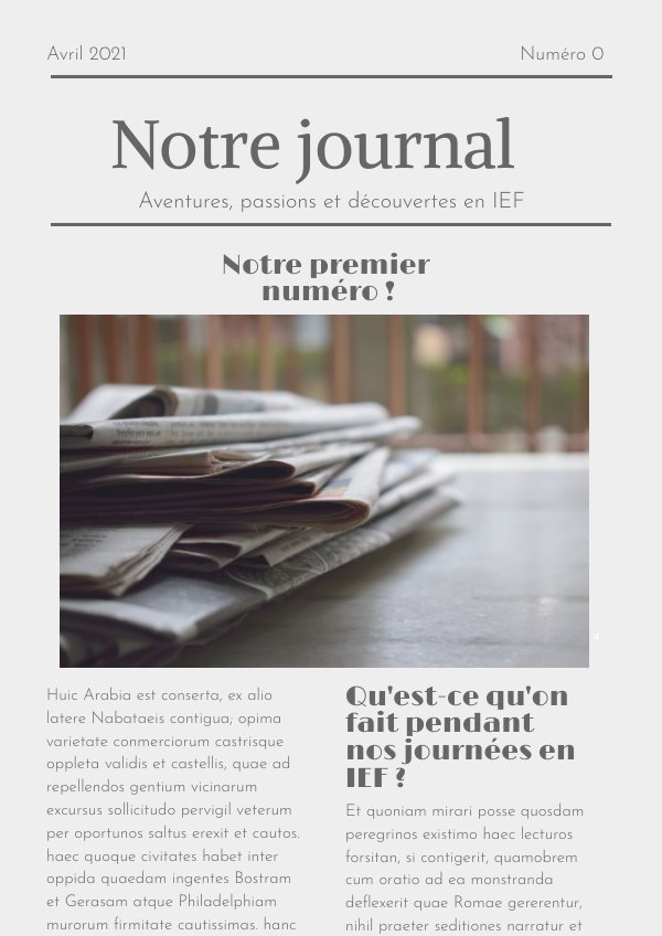 IEF numéro exemple journal by Journal... - Flipsnack