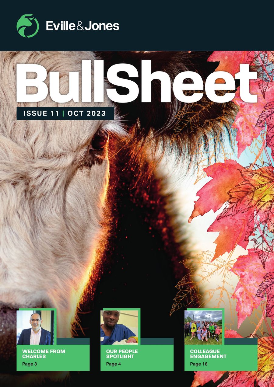 Bullsheet October 23 by FEB6DC6EFB5 - Flipsnack