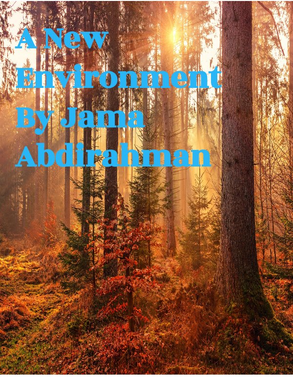 A New Environment by JAMA ABDIRAHMAN - Flipsnack