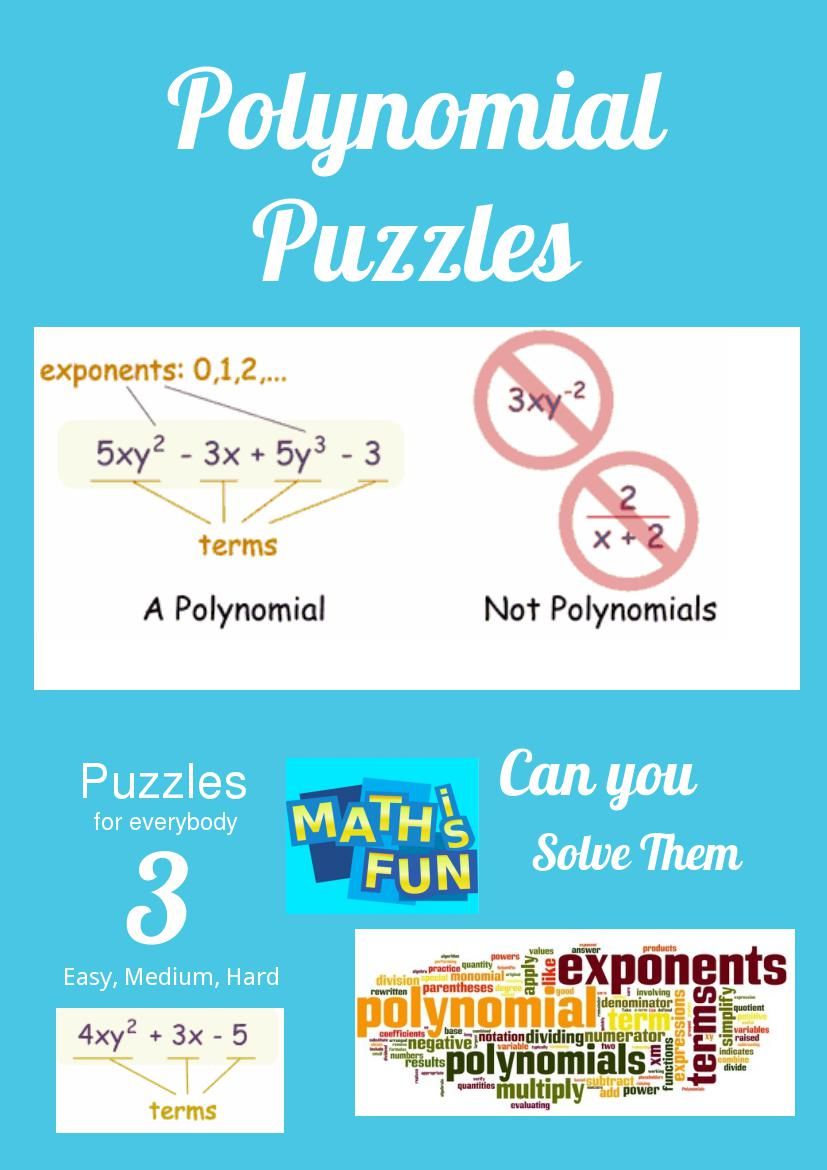 Polynomial Puzzles by student Tyler... - Flipsnack