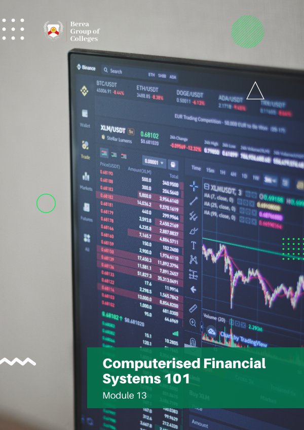 Computerised Financial Systems 101 Module 13 by E-Publishing
