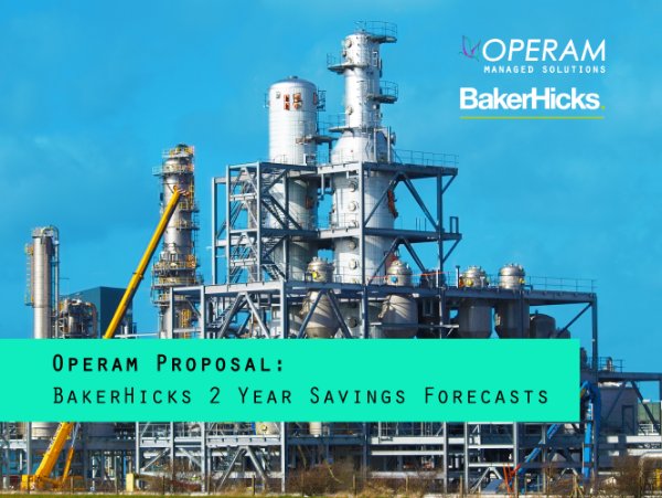Operam BakerHicks Growth Forecasts by... - Flipsnack