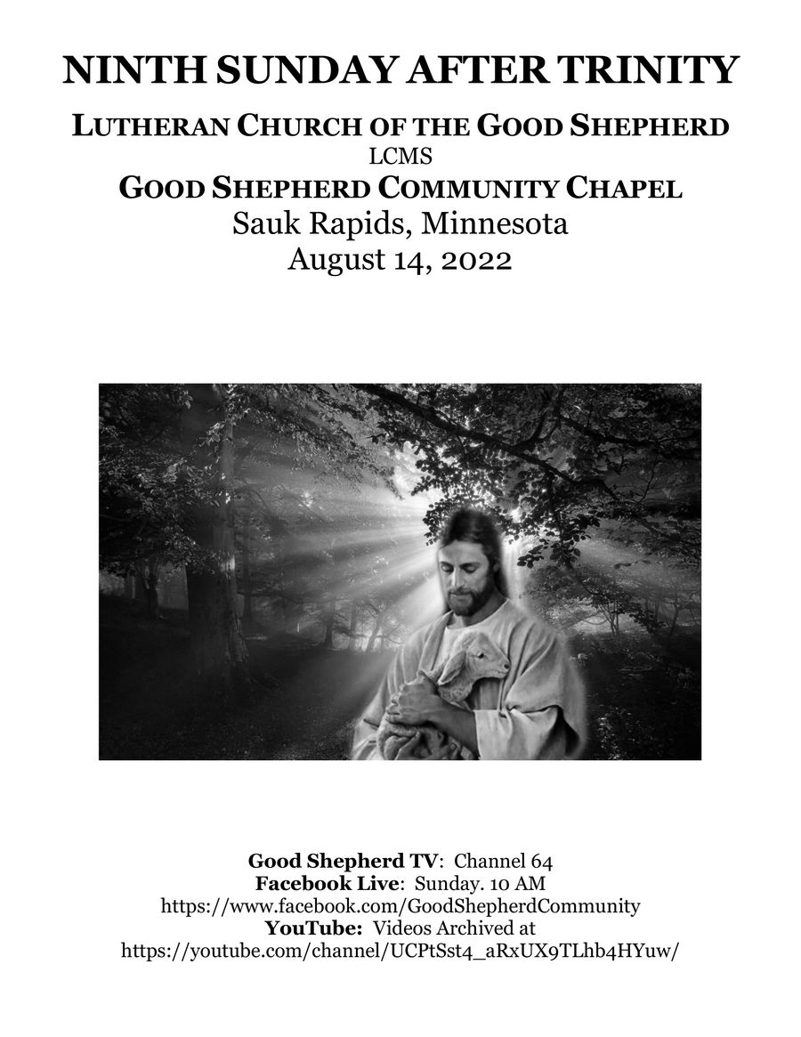 2022 08 14 Ninth Sunday after Trinity by Jodi Danielson - Flipsnack