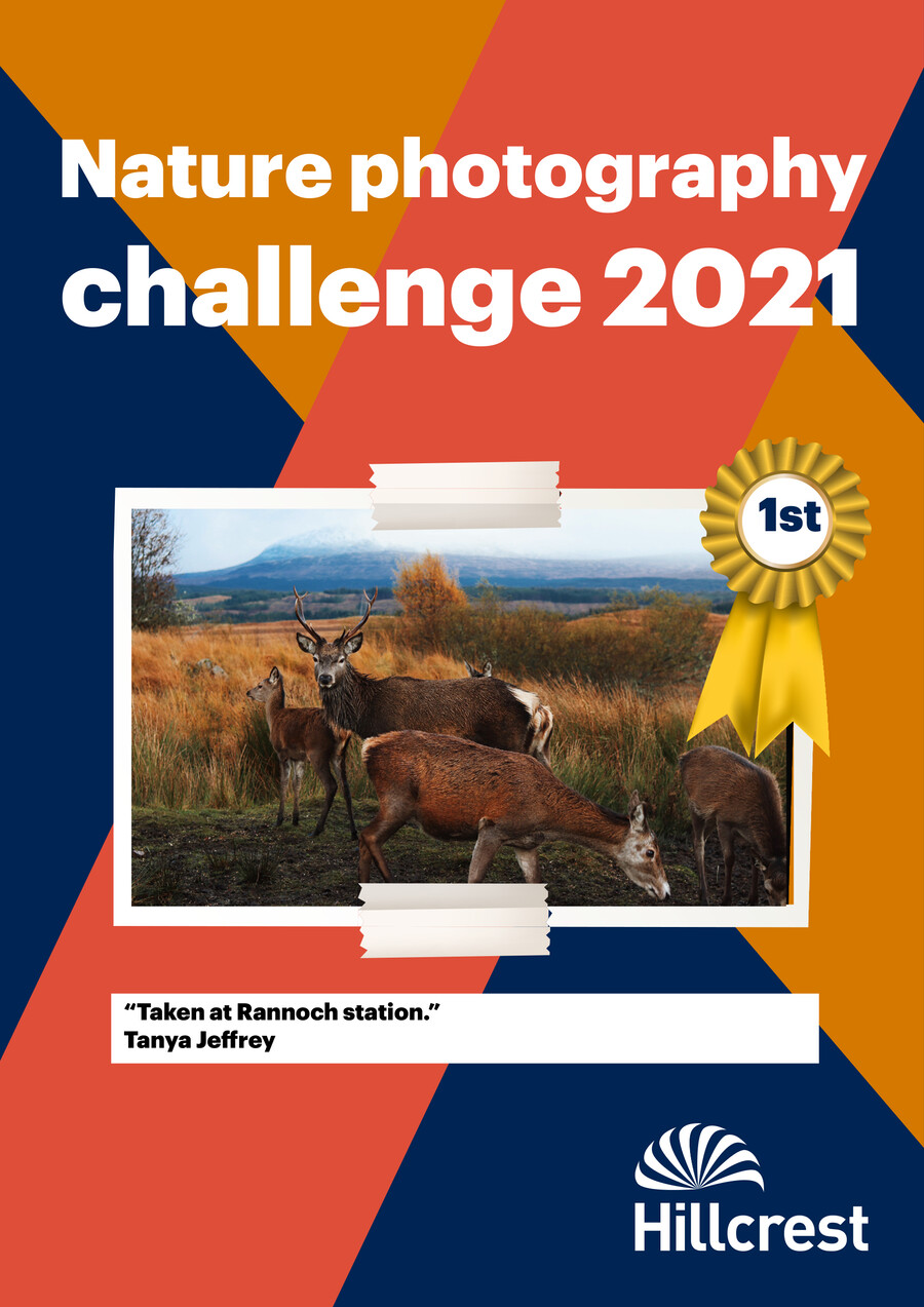 Nature photography challenge 2021entries by Hillcrest Group - Flipsnack