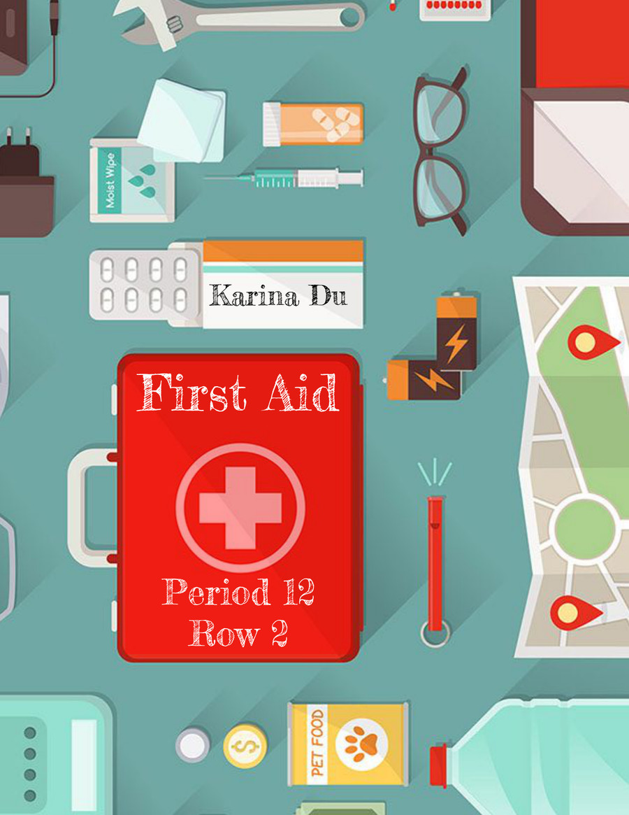 First Aid Flipbook by Karina Du - Flipsnack
