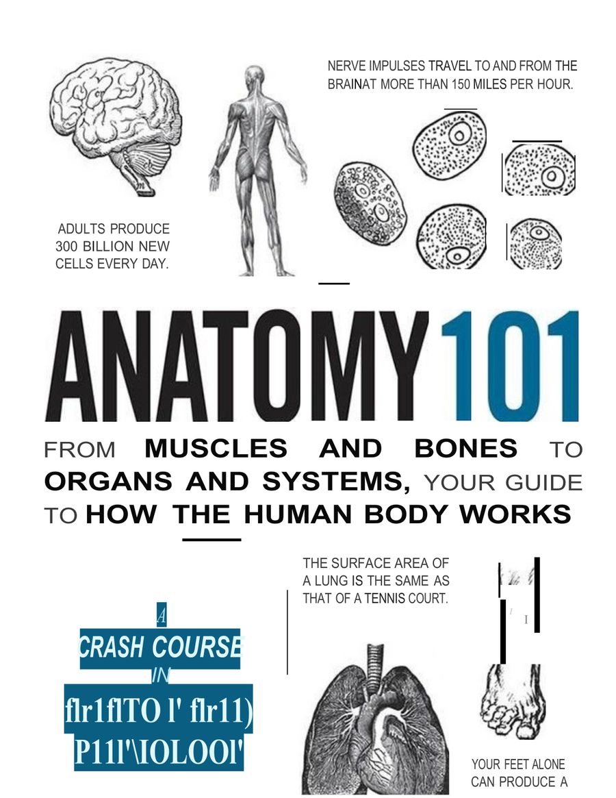 Anatomy 101 From Muscles and Bones to Organs and Systems by Jagaban ...