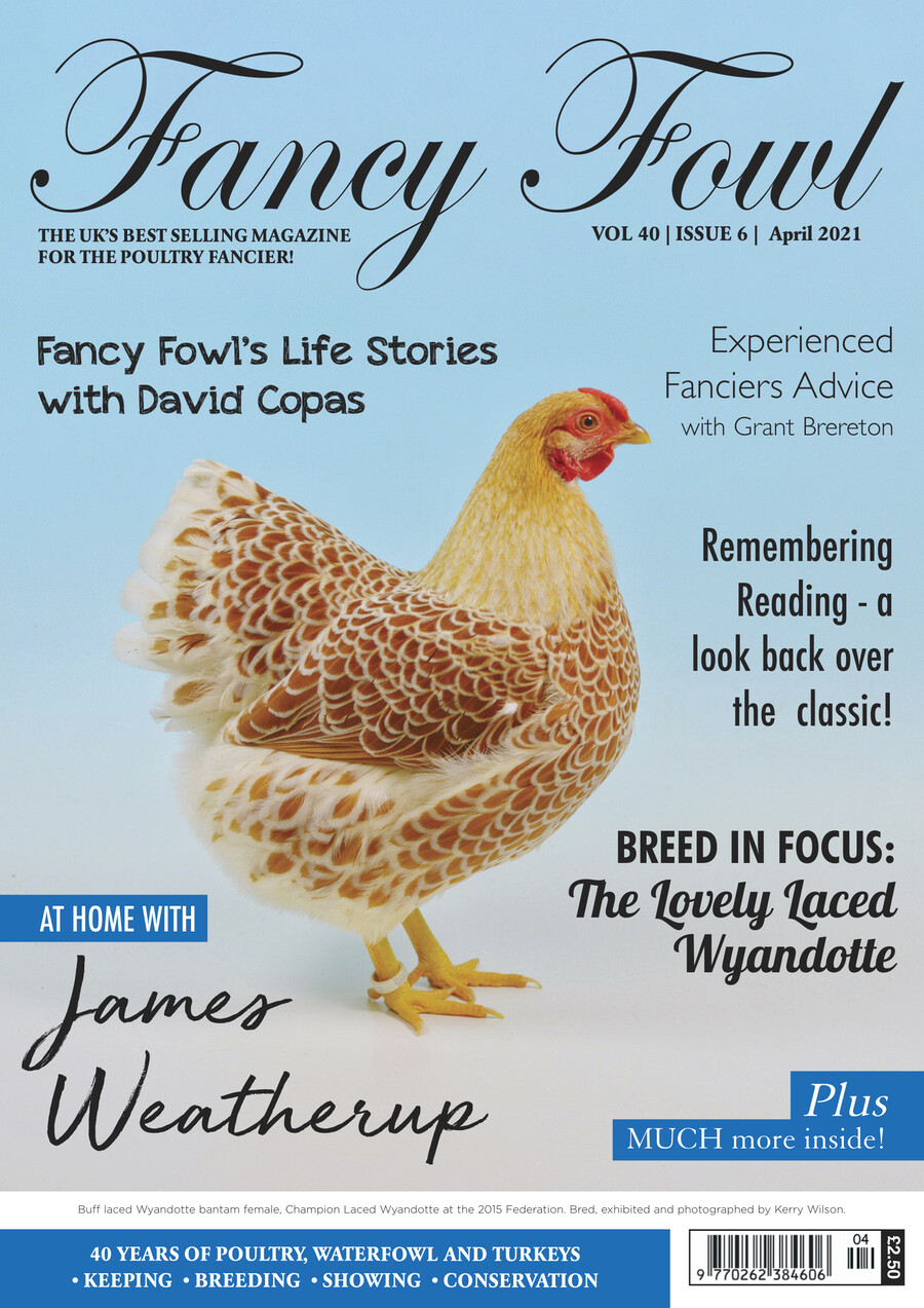 Fancy Fowl - April 2021 by Greg Davis - Flipsnack