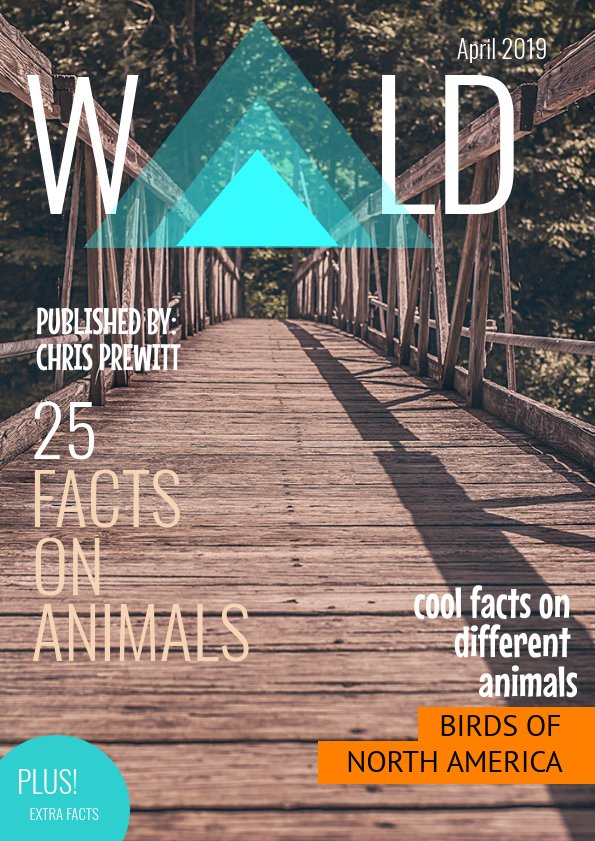 WILD ANIMALS by Chris Prewitt - Flipsnack