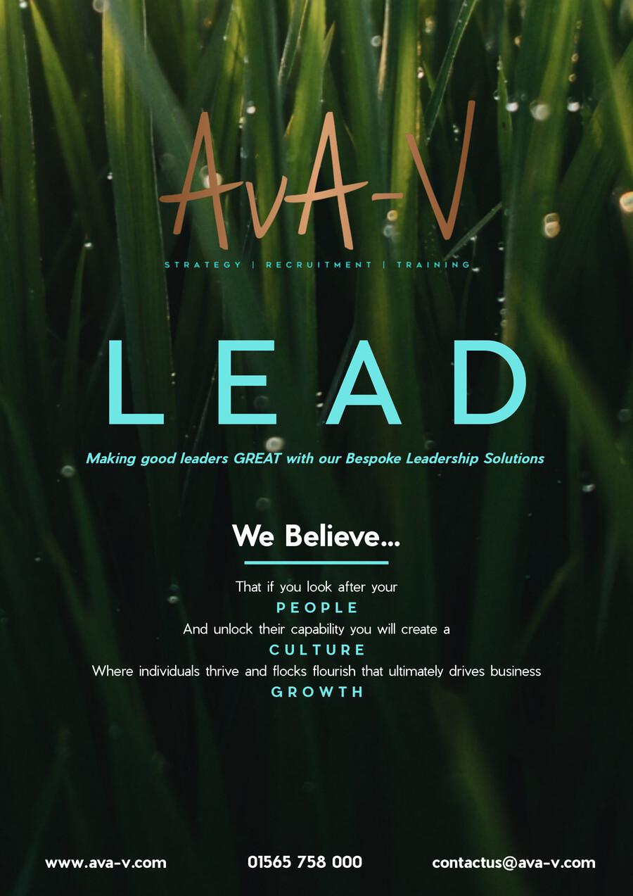 LEAD Brochure - 2021 by AvA-V - Flipsnack
