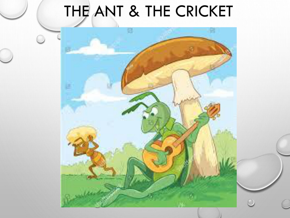 Story-Ant & The Cricket by Sana Rafiq Vadgama - Flipsnack