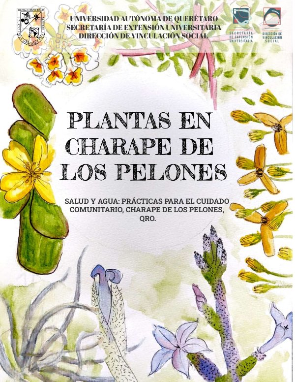 Plantas en Charape de los Pelones by Nemo - Flipsnack