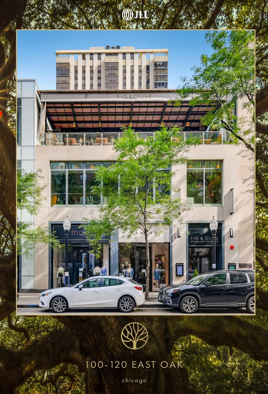 100 E Oak Brochure by JLL - Flipsnack