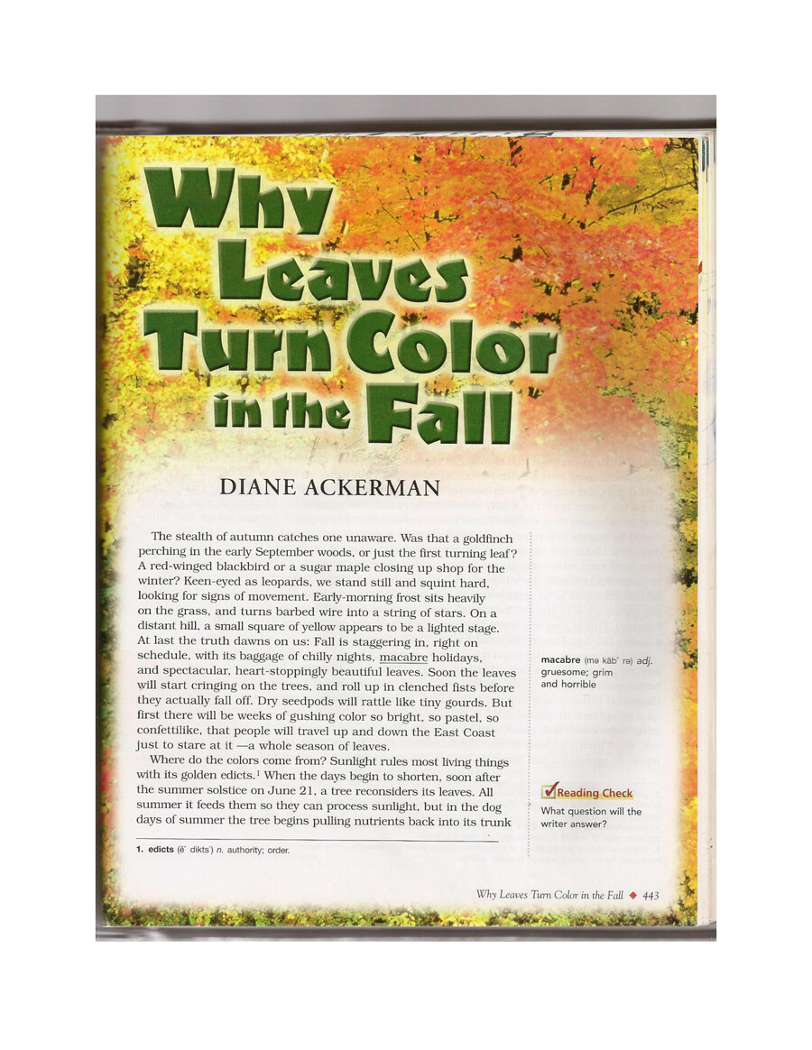 Why Leaves Turn Color Fall by Eric Ortiz - Flipsnack