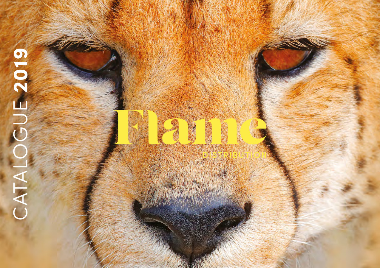 Flame Highlights Catalogue 2019 by flamedistribution - Flipsnack