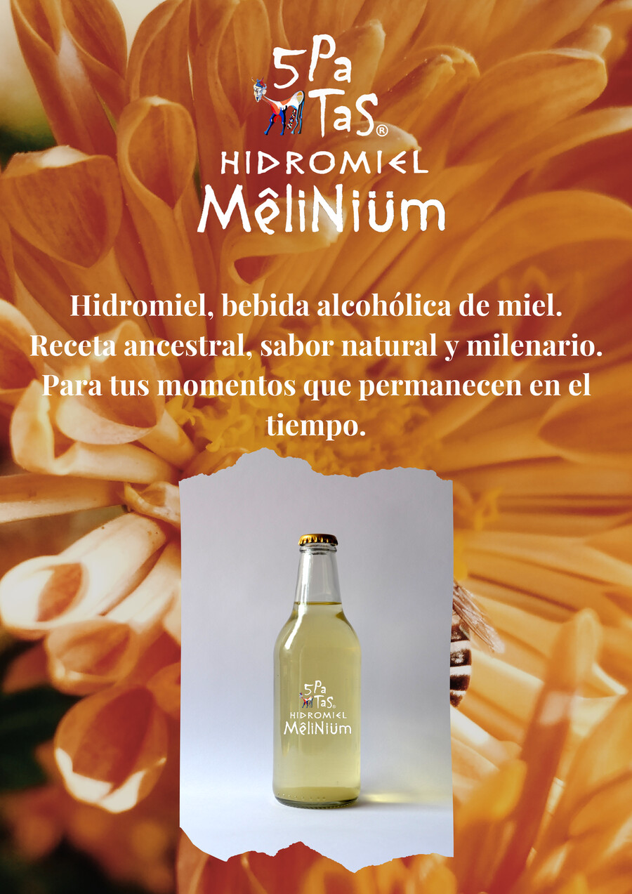 Hidromiel, bebida alcohólica de miel. Receta ancestral, sab by Daniela ...