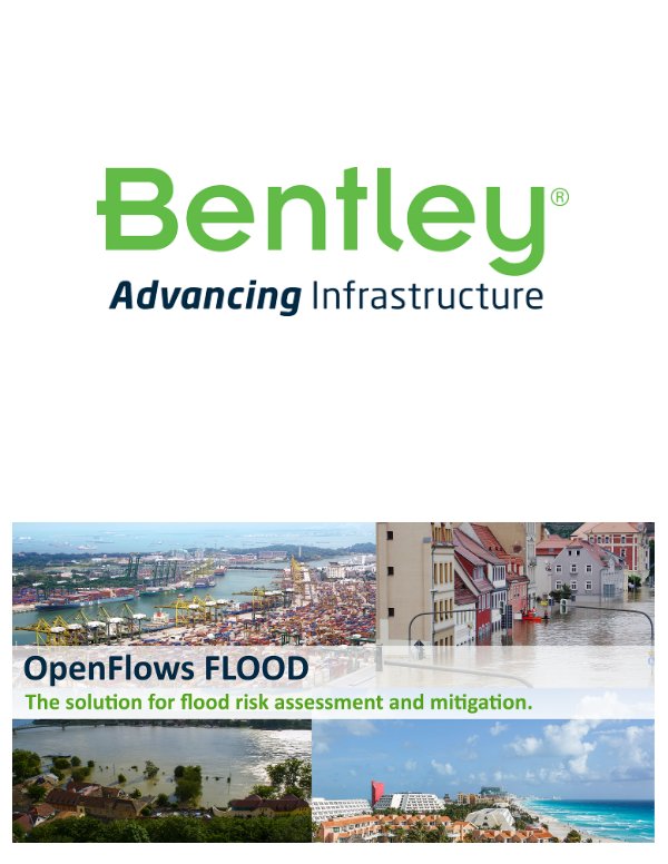Bentley OpenFlows FLOOD by Susana Braunschweig - Flipsnack