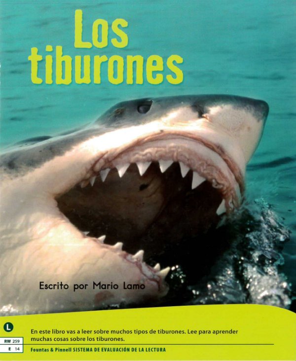 L_Los Tiburones by Edwin Lopez - Flipsnack