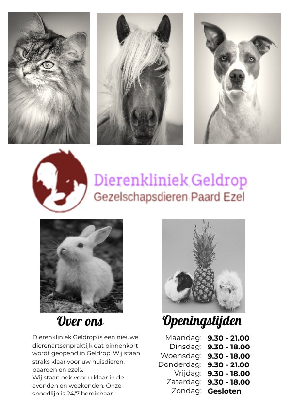 vouwfolder praktijk by Danielle - Flipsnack