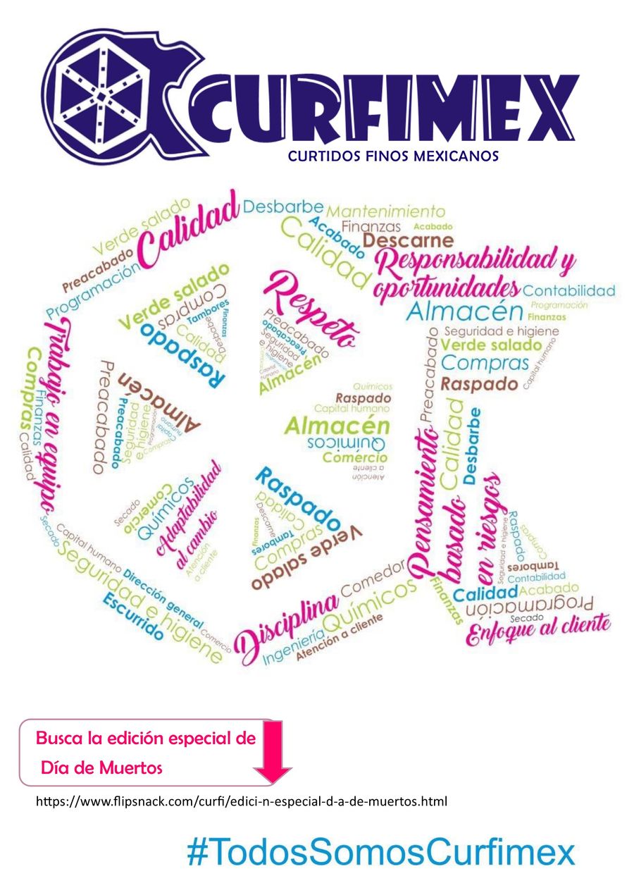 CURFIMEX DICIEMBRE 2019 by Color - Flipsnack