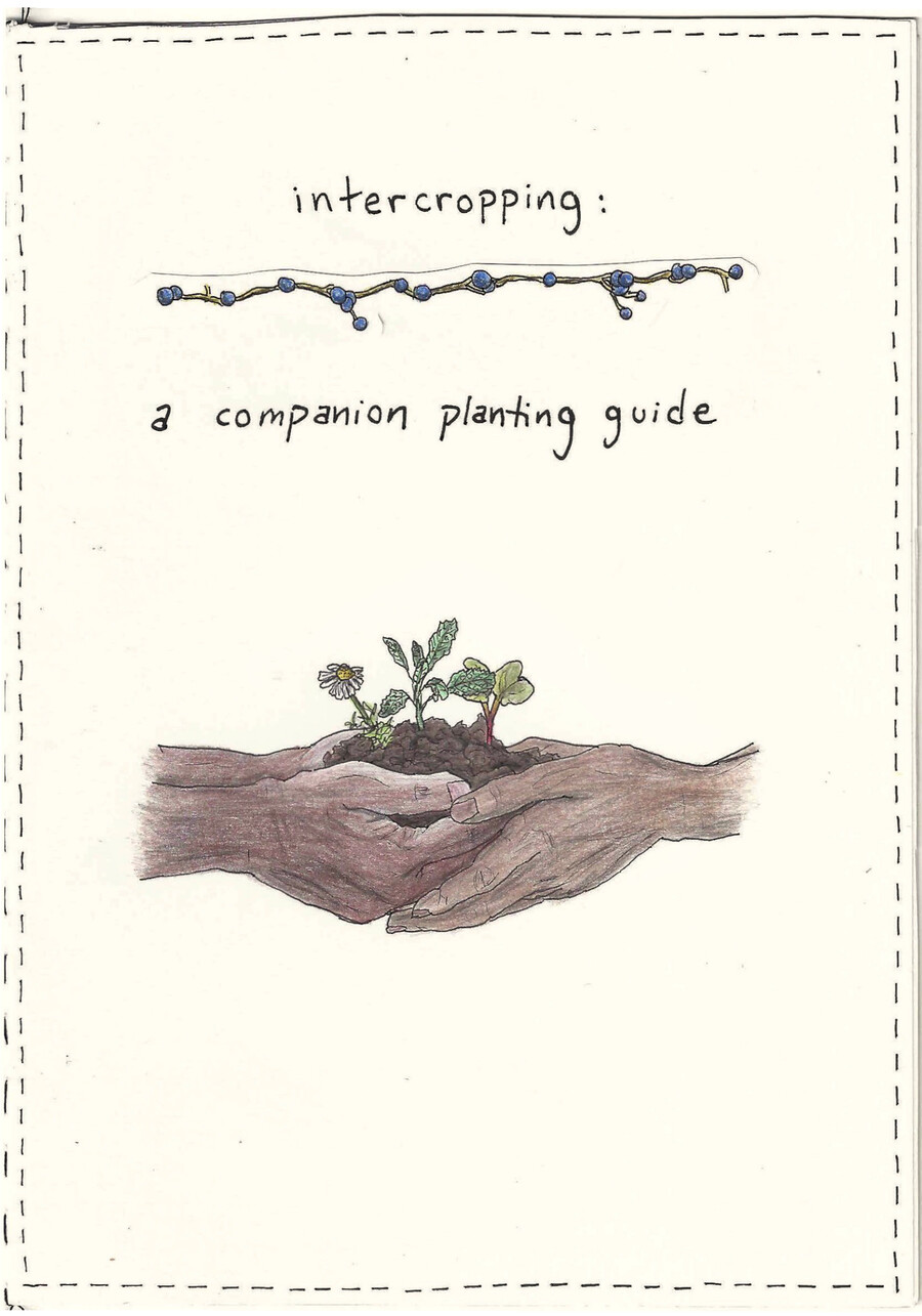 Intercropping: A Companion Planting Guide by Katherine Roger - Flipsnack