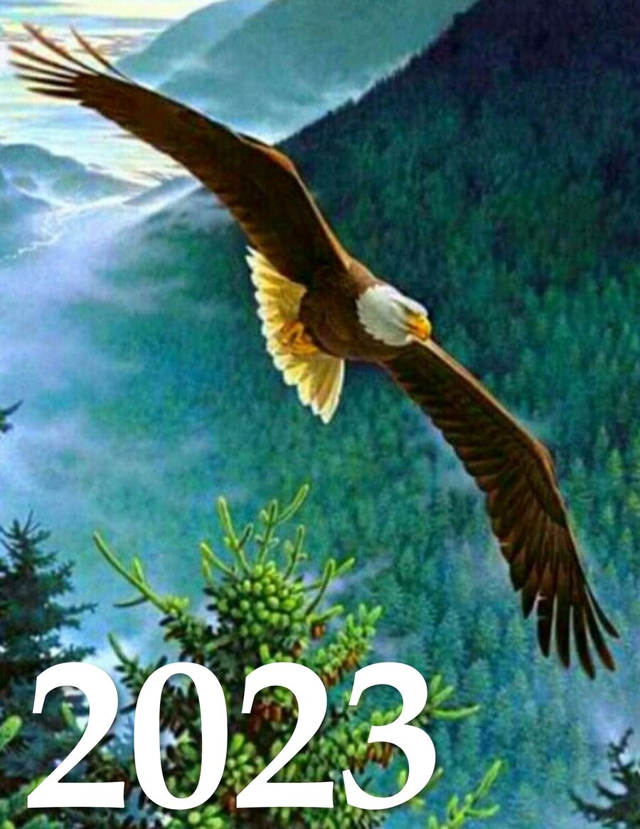 Bob Oberhardt Eagles on the Mountain 2023 by Flagcoco - Flipsnack
