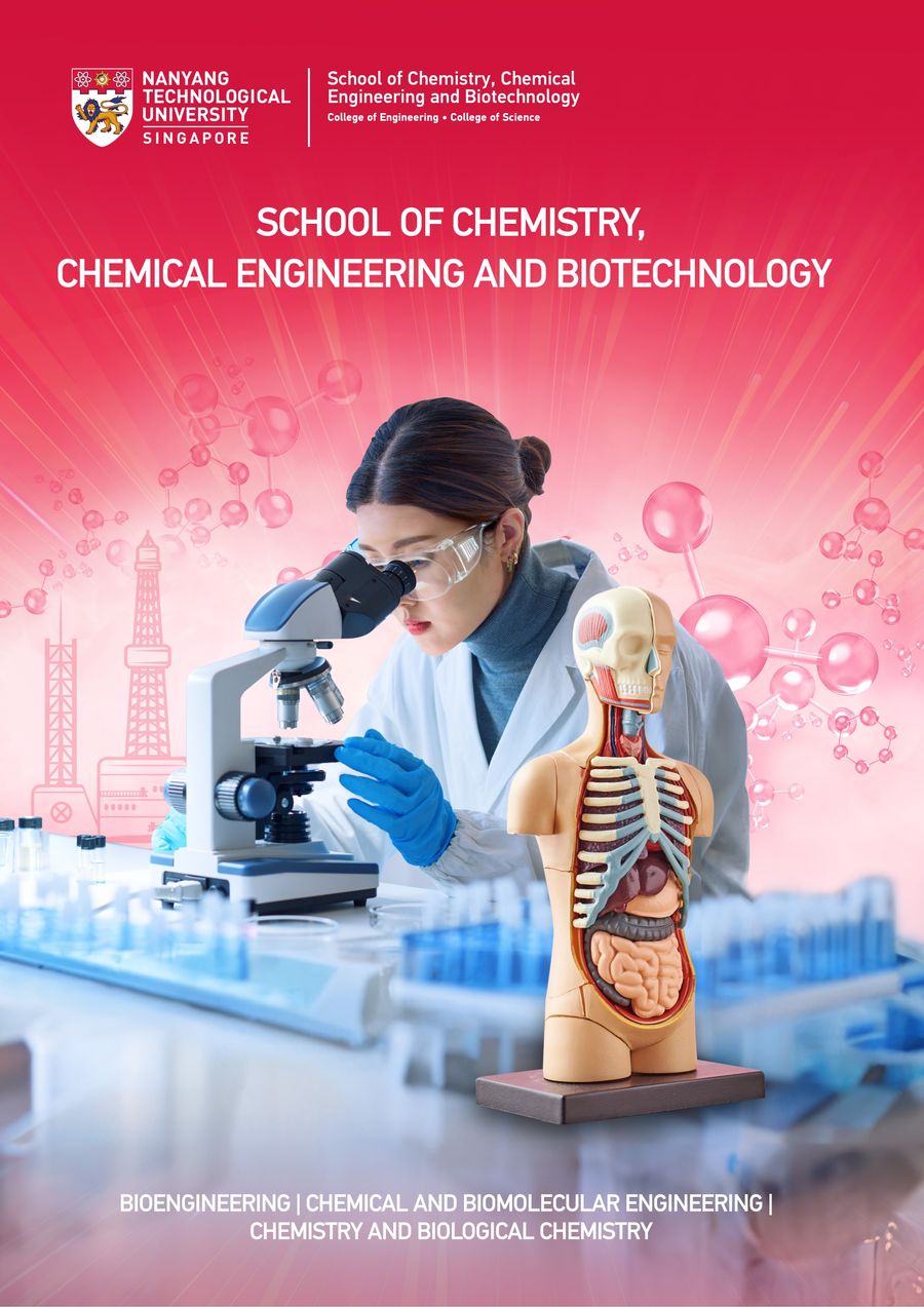 School of Chemistry, Chemical Engineering and Biotechnology by NTU