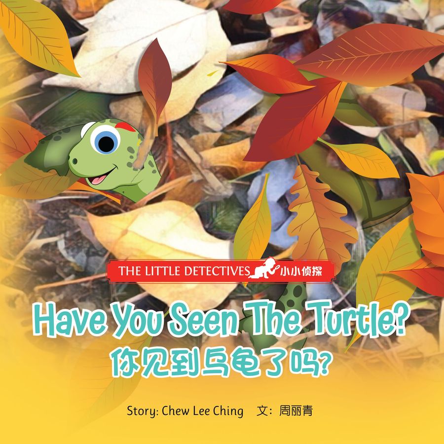 The Little Detectives Ethan and Evan - Have You Seen The Turtle by ...