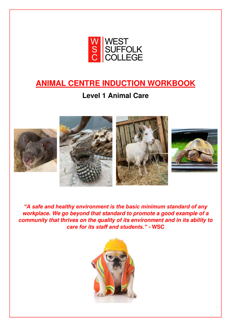 Summer Work - Level 1 Animal Centre Induction Workbook by Eastern ...
