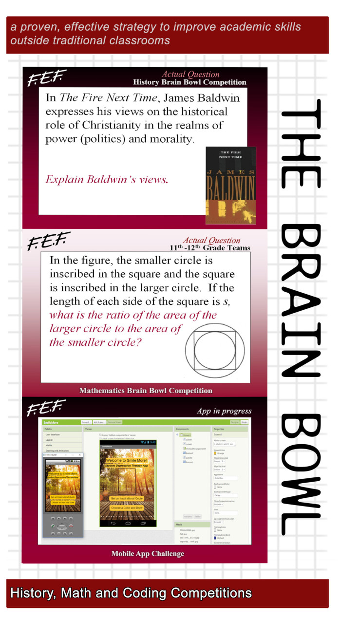 FEF Brain Bowl Brochure by Monica Montes - Flipsnack