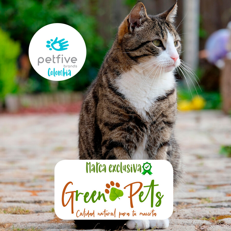 Catalogo Petfive - Green pets by Green Pets Colombia - Flipsnack
