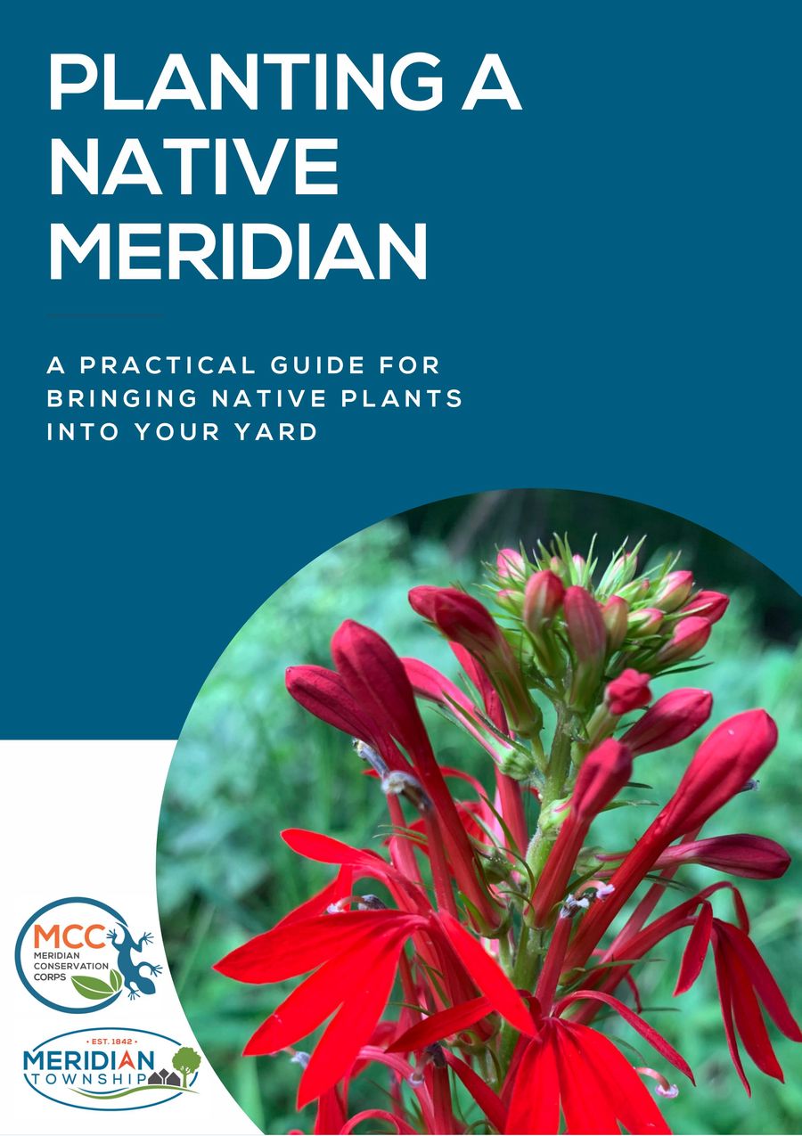 Meridian Township Native Plant Guide by Meridian Township - Flipsnack