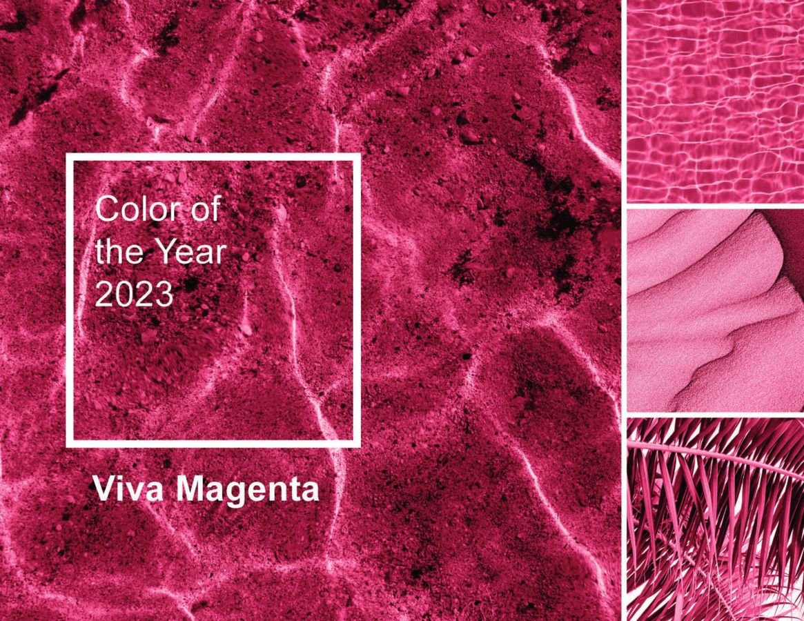 REVISTA 2024 VIVA MAGENTA_compressed by John Mario Perez V. - Flipsnack