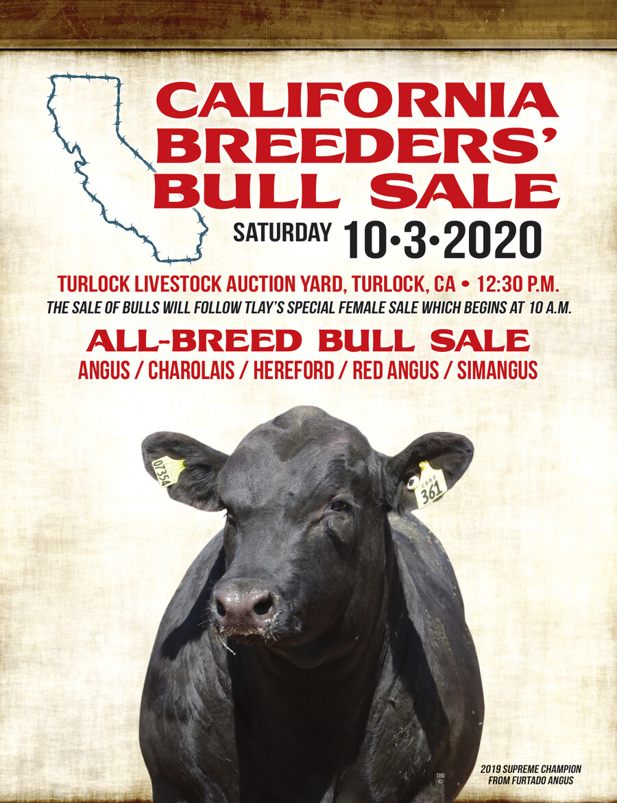 TLAY CA Breeders' Bull Sale: 10-3 by Best of the West - Flipsnack