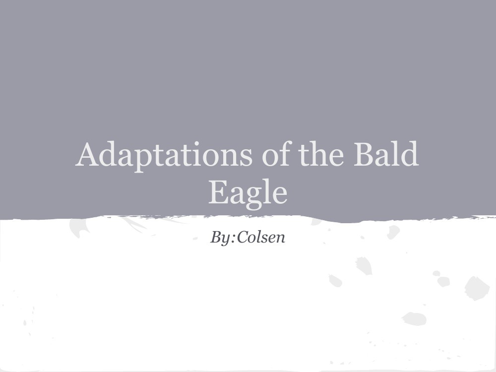 Bald Eagle Adaptations by samuelsc - Flipsnack