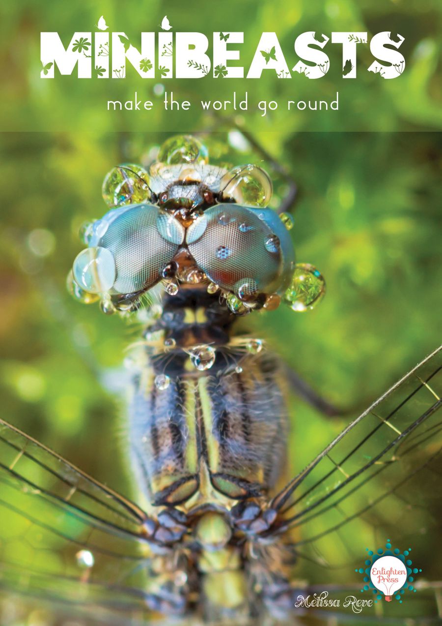 Minibeasts Make the World Go Round Big Book Enlighten Press by ...