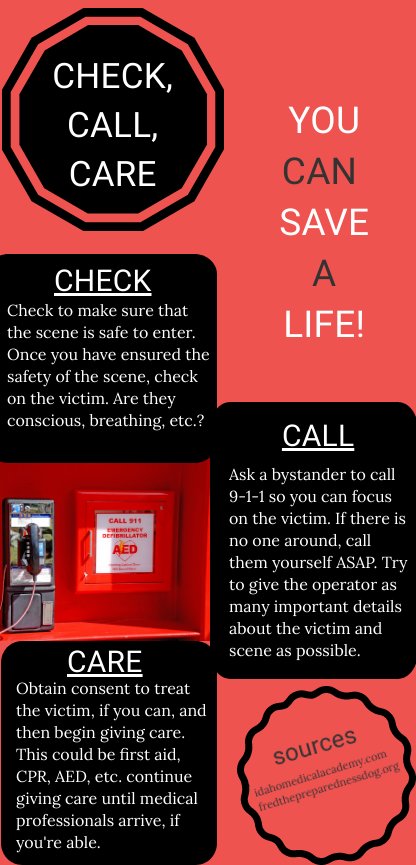 HSS 180: Check, Call, Care Flyer by Haley Volz - Flipsnack