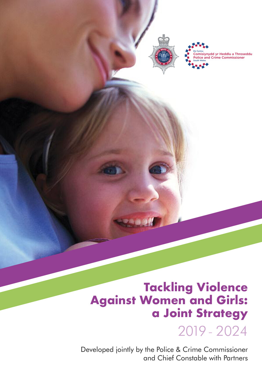 VAWG Joint Strategy Eng Web by Richard Watkins - Flipsnack