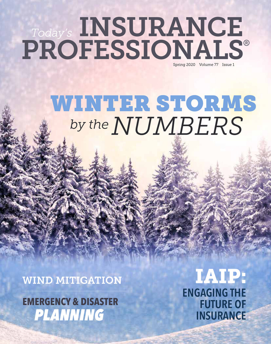 IAIP 2020 Spring magazine by International Association o... - Flipsnack