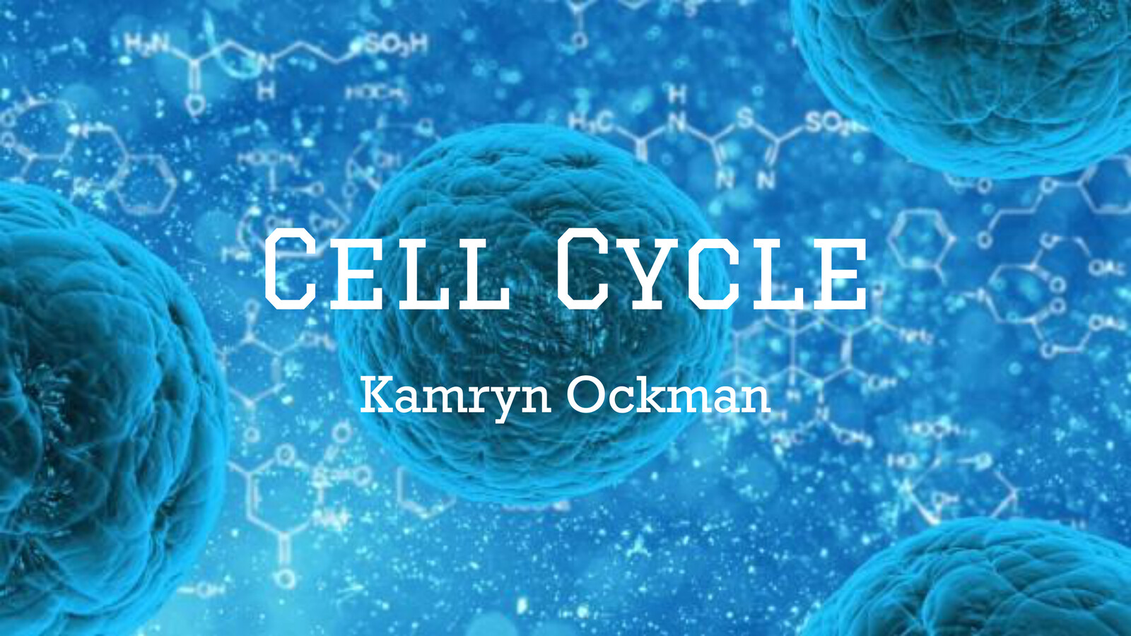 cell cycle flipbook by Kamryn Student - Flipsnack