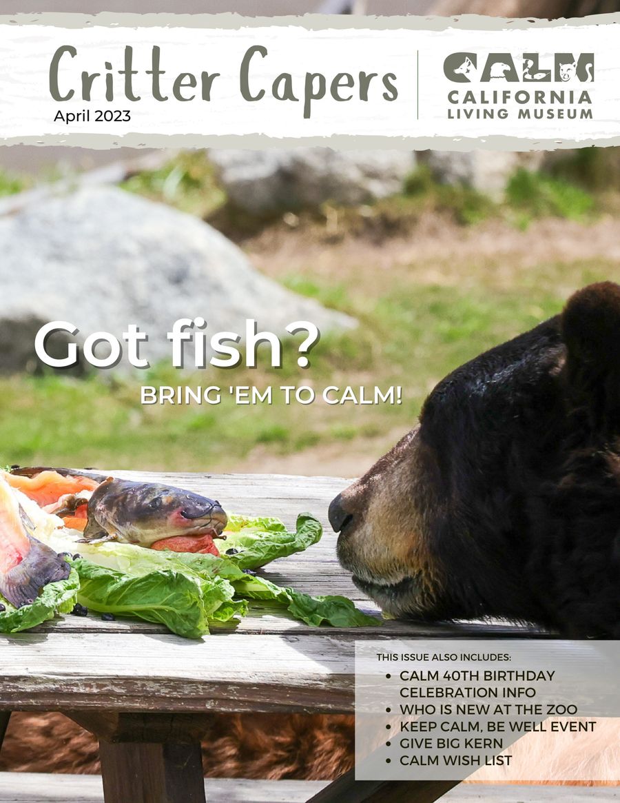 APRIL 23 CALM Critter Capers_FINAL by KCSOS - Flipsnack