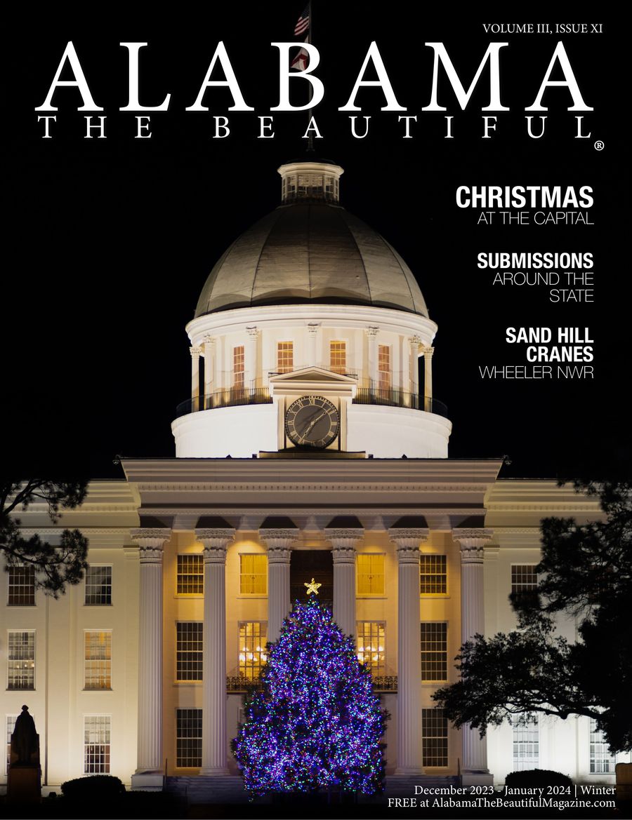 ATB Magazine Winter 2023-2024 by Beth Cowan Drake - Flipsnack