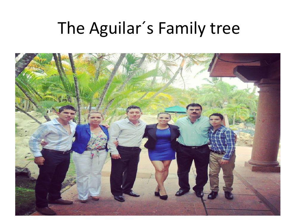 The Gabriel family Tree by Gabo Aguilar - Flipsnack