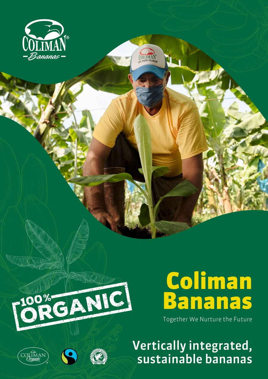 Coliman Bananas - Vertically integrated sustainable bananas by Sophia ...