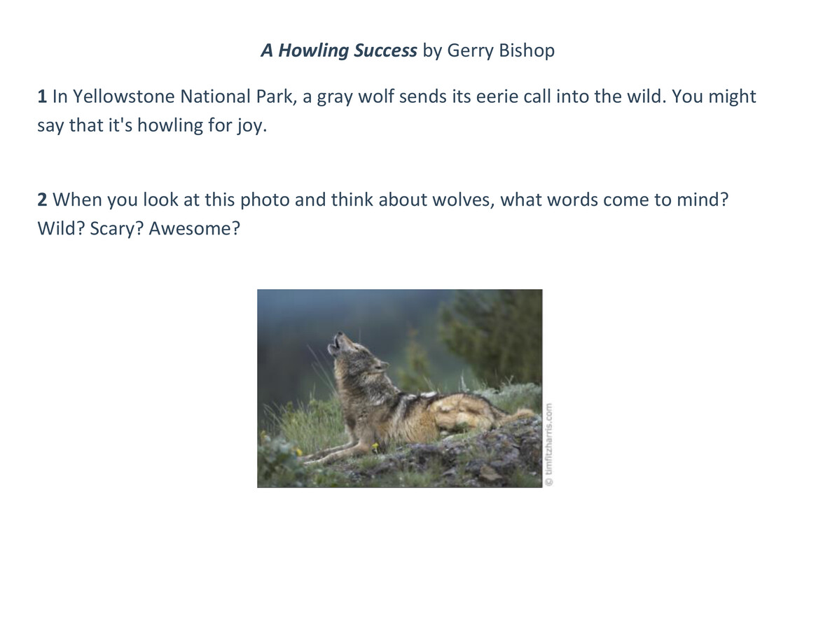 A Howling Success by Gerry Bishop by Mark Masloski - Flipsnack