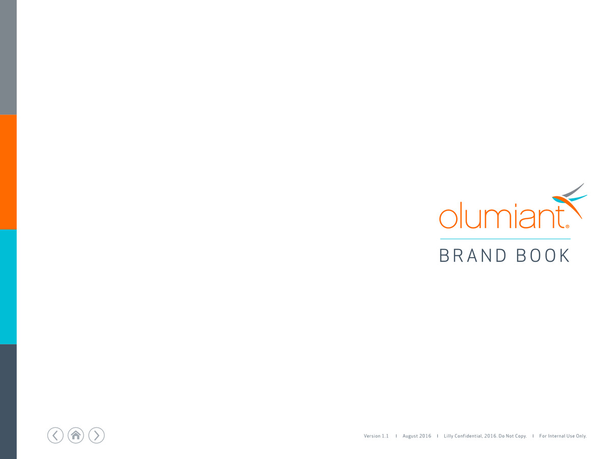 Olumiant Brand Book by WDCOM - Flipsnack